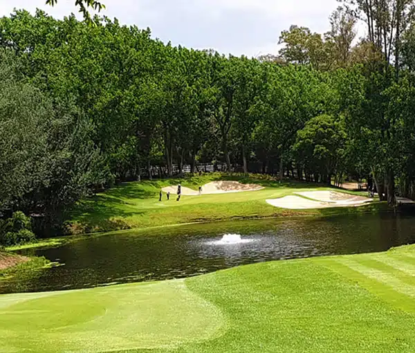 The 16 Best Golf Courses in South Africa