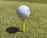 FlightPath Tees Review: I Tested Them vs Other Premium Tees